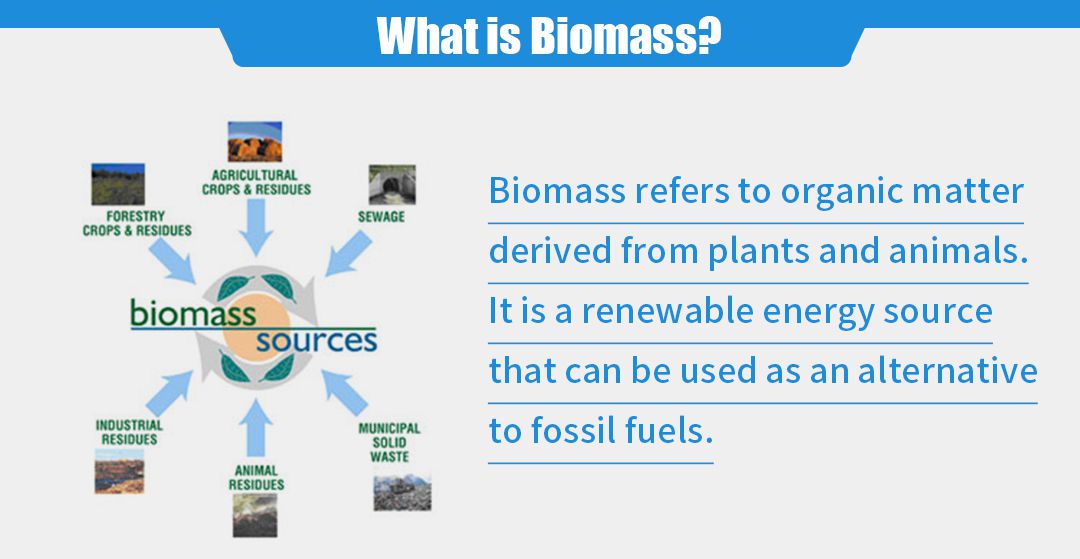 Sources Of Biomass Energy