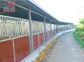 Portable Horse Stall SHE122
