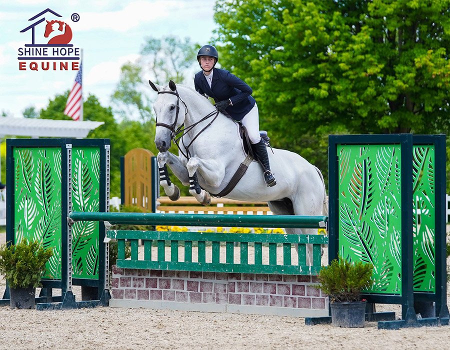 Aluminum Horse Jump Wings