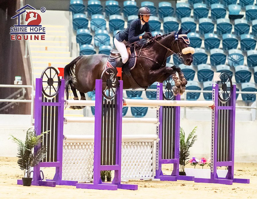 Aluminum Horse Jump Wings