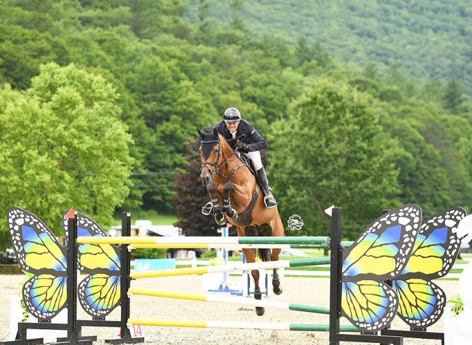 Aluminum Horse Jump Wings