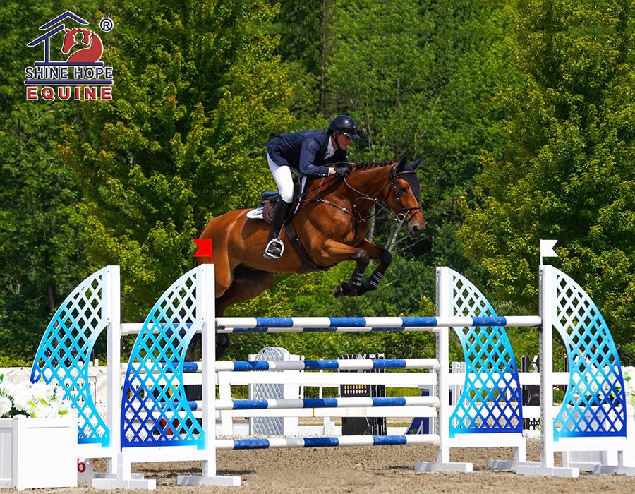 Aluminum Horse Jump Wings