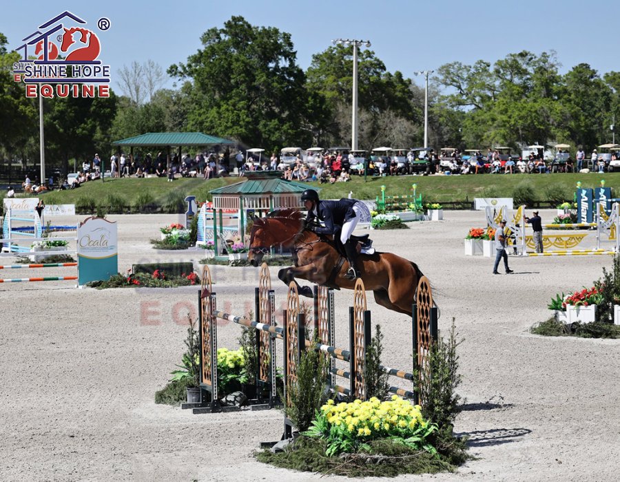 Vertical and Oxer jump
