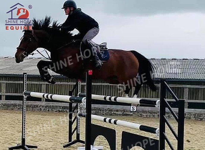 Vertical and Oxer jump