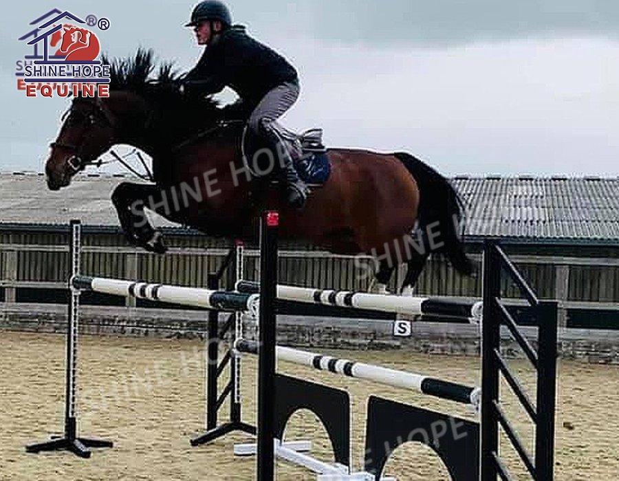 Vertical and Oxer jump